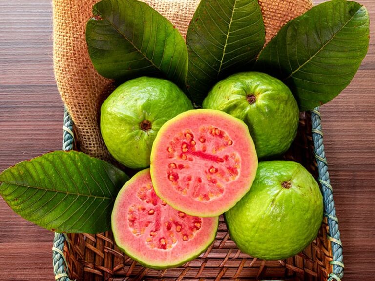 18 Easy Guava Recipes