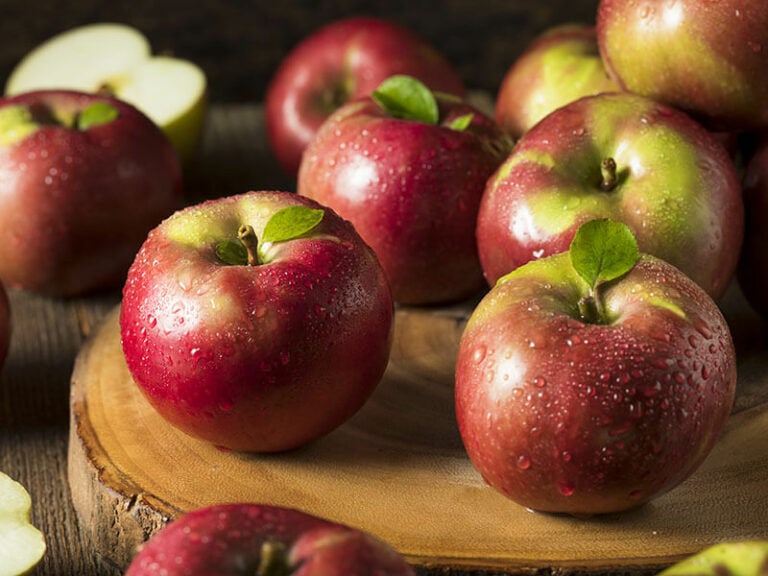 Which Apples Are The Sweetest?