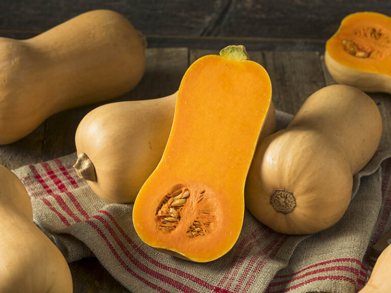 17 Best Orange Fruits