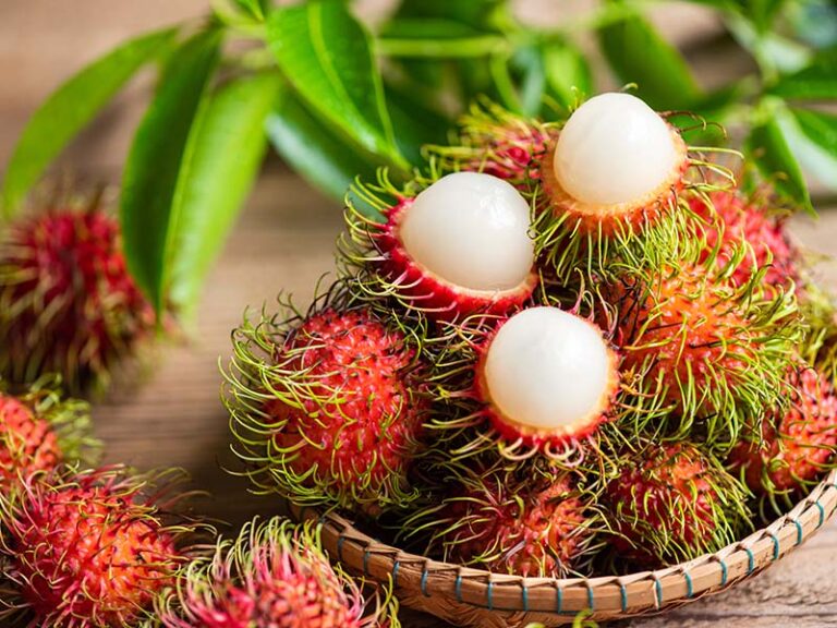 32 Most Popular Vietnamese Fruits