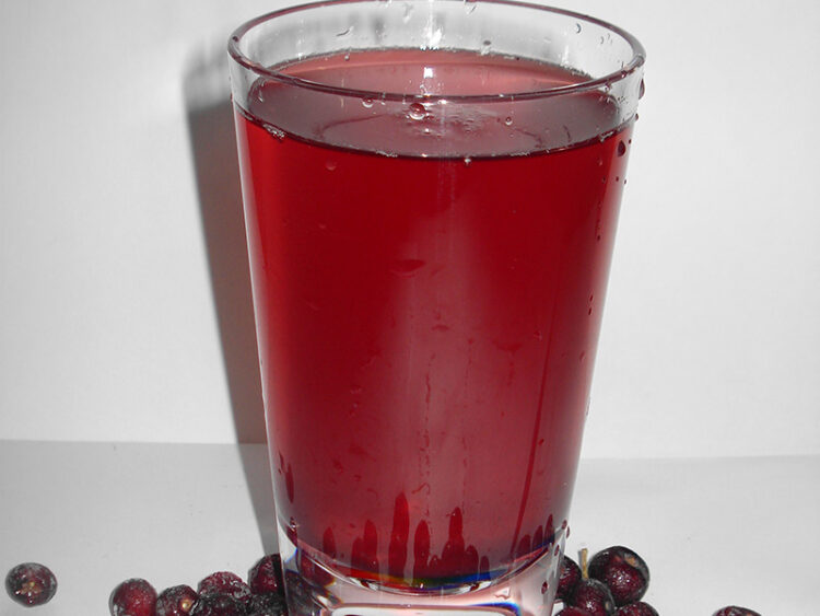 15 Best Pakistani Drinks