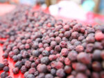 20 Pakistani Fruits And Vegetables: The Best List Of 2023