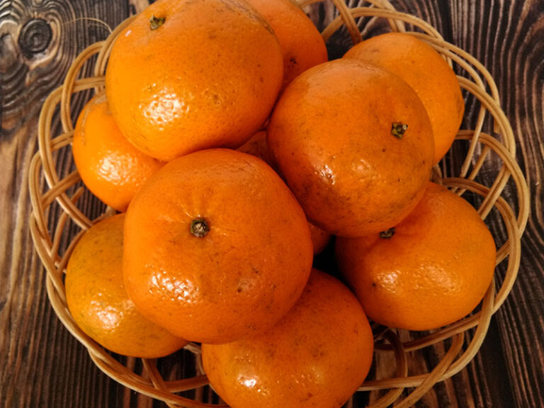 20 Best Pakistani Fruits and Vegetables