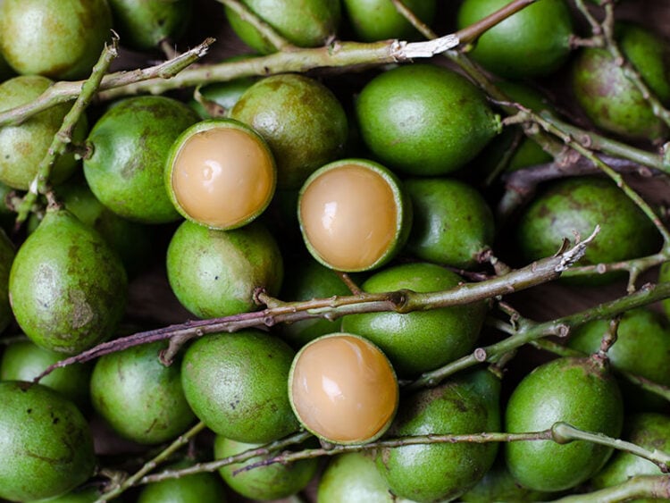 17+ Juicy Guatemalan Fruits To Try This Summer 2023