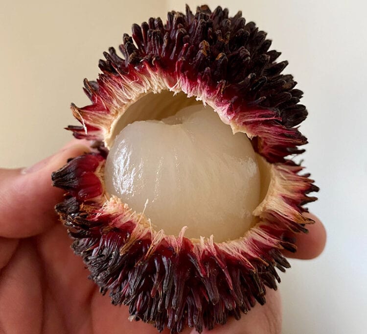 17 Best Malaysian Fruits