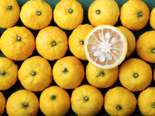 27 Most Popular Chinese Fruits