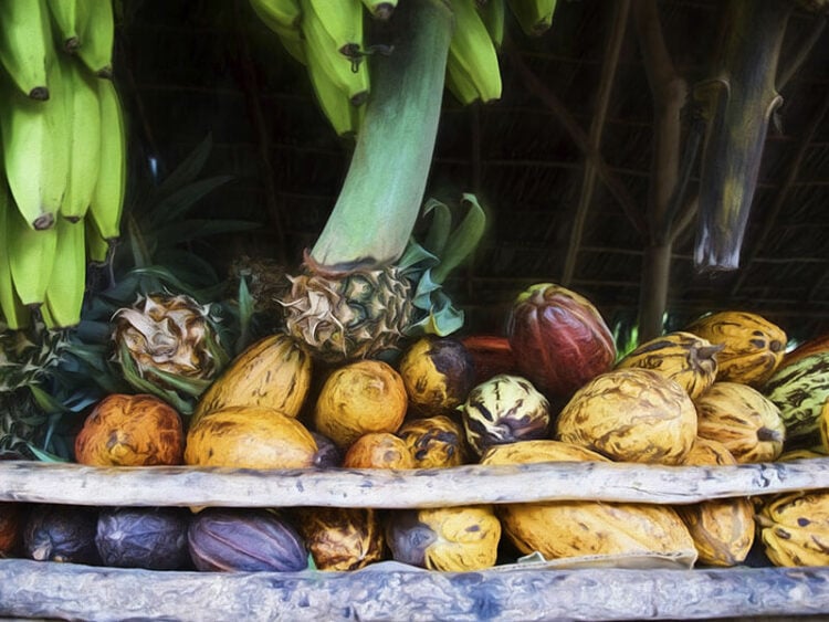 30 Delicious Dominican Fruits For The Fruit Lovers In 2023