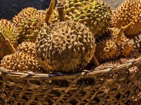 26 Most Popular Filipino Fruits