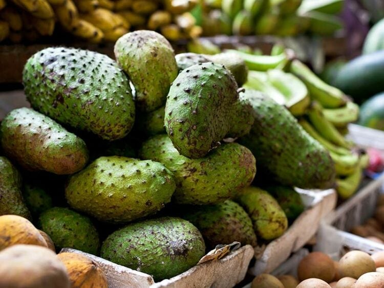 26 Most Popular Filipino Fruits
