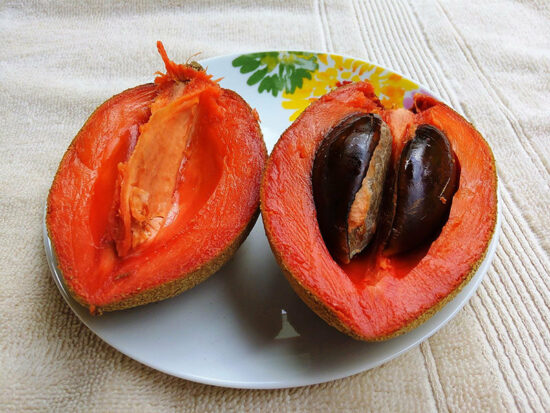 30 Delicious Dominican Fruits For The Fruit Lovers In 2023